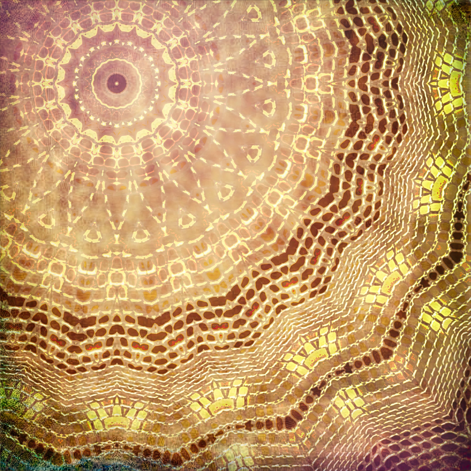 Softly Lit Studios - Dust Devil