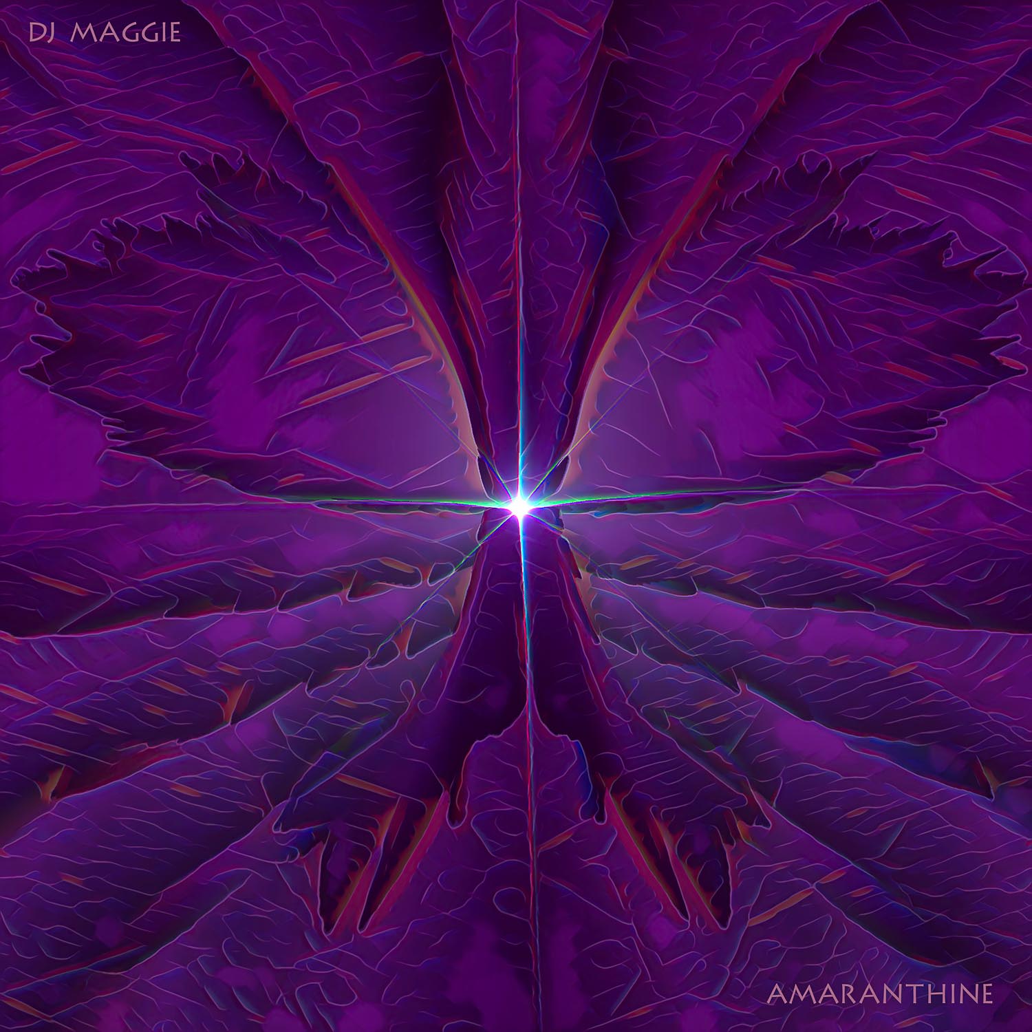 Amaranthine – Softly Lit Studios