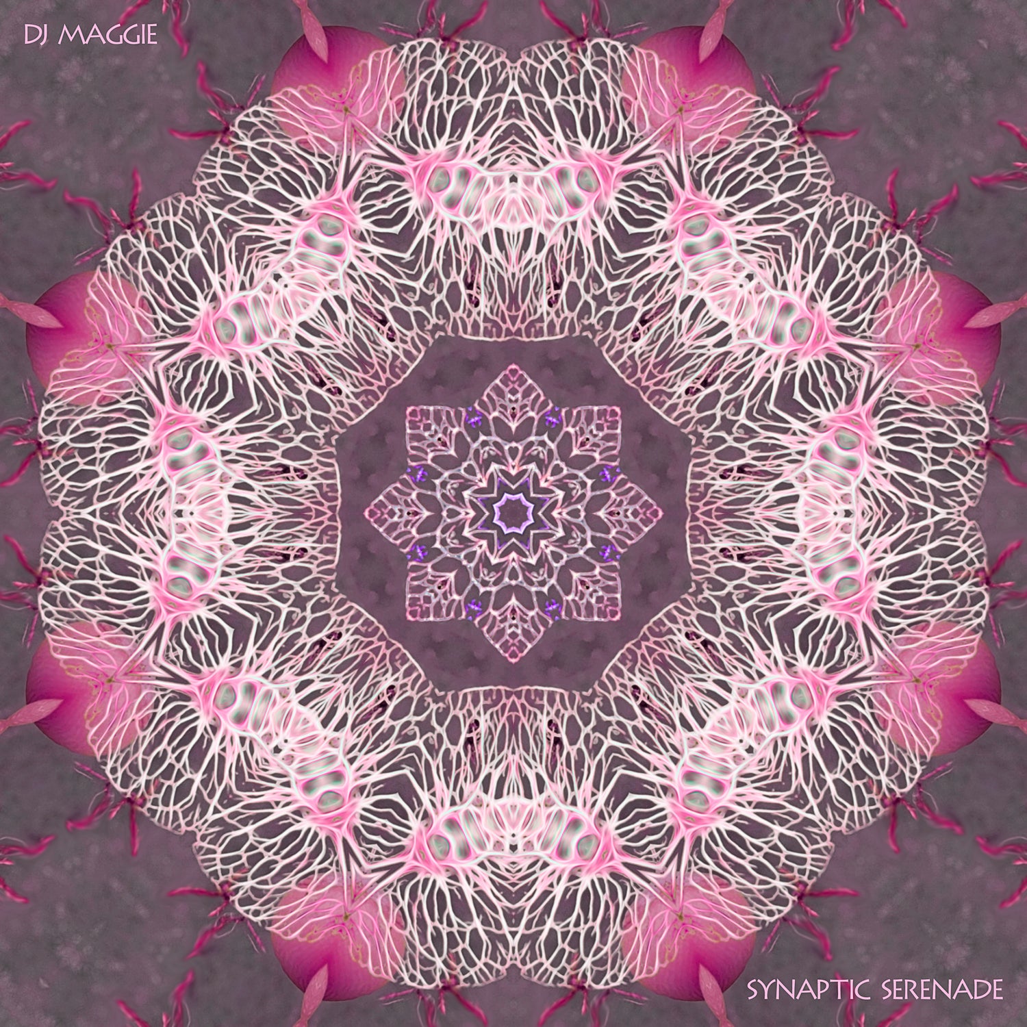 Synaptic Serenade – Softly Lit Studios